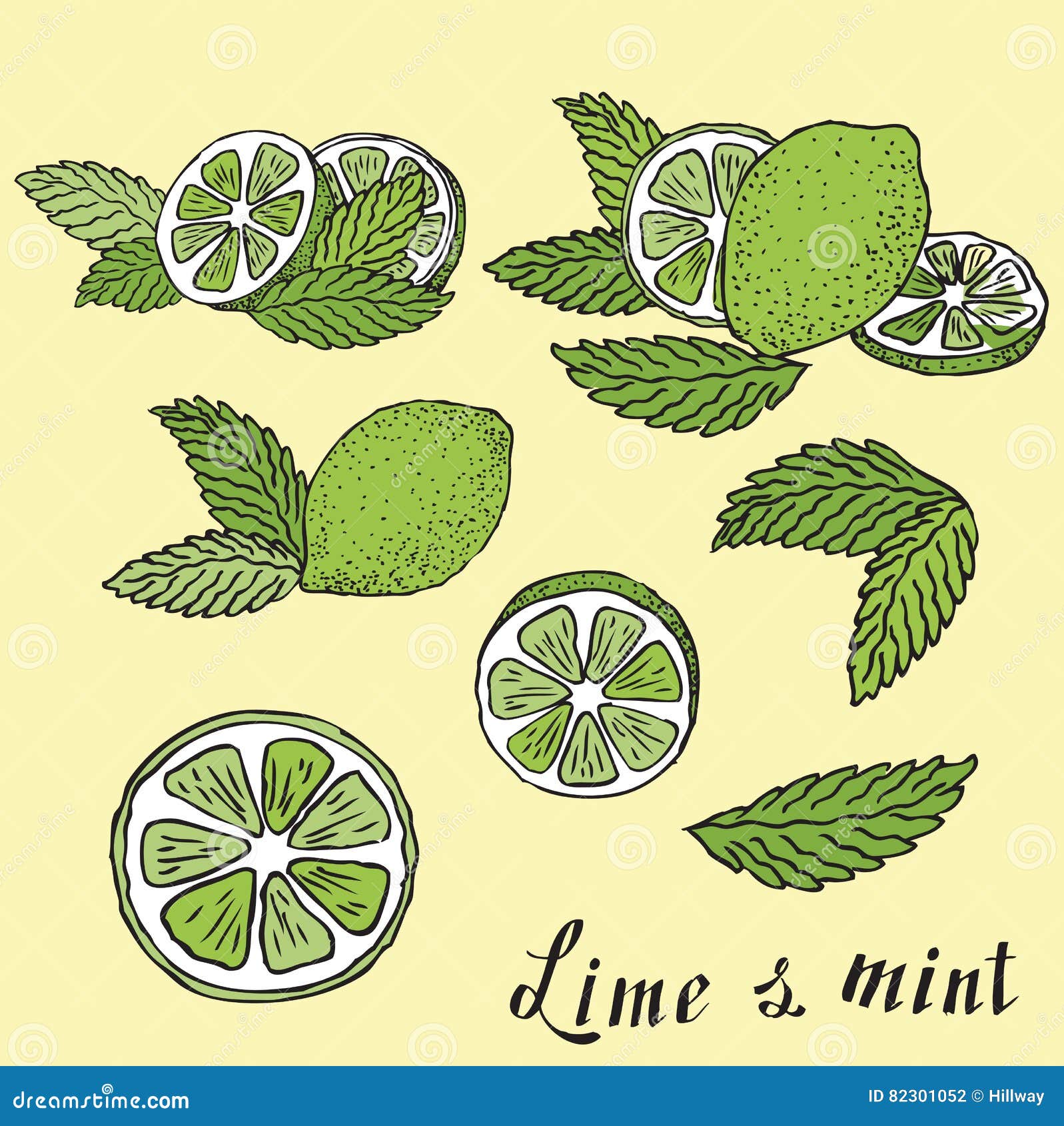Slices of Lime with Mint Leaves. Stock Vector - Illustration of white ...