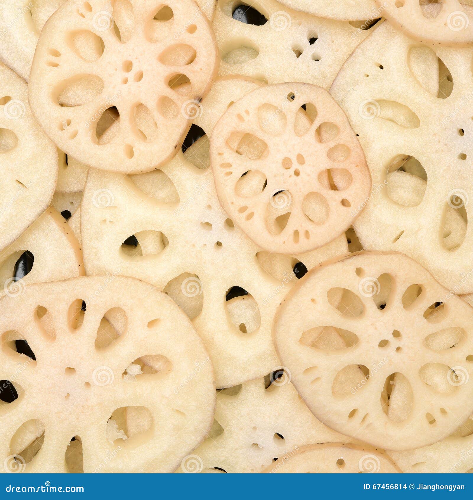 Slices of lotus root stock photo. Image of plant, culture - 67456814