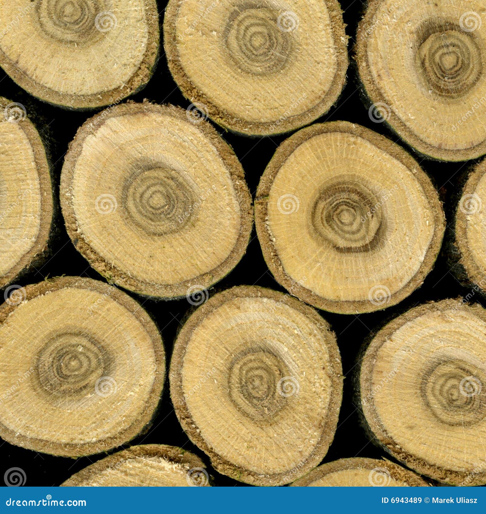 Slices of oak wood stock image. Image of trunk, textured - 6943489