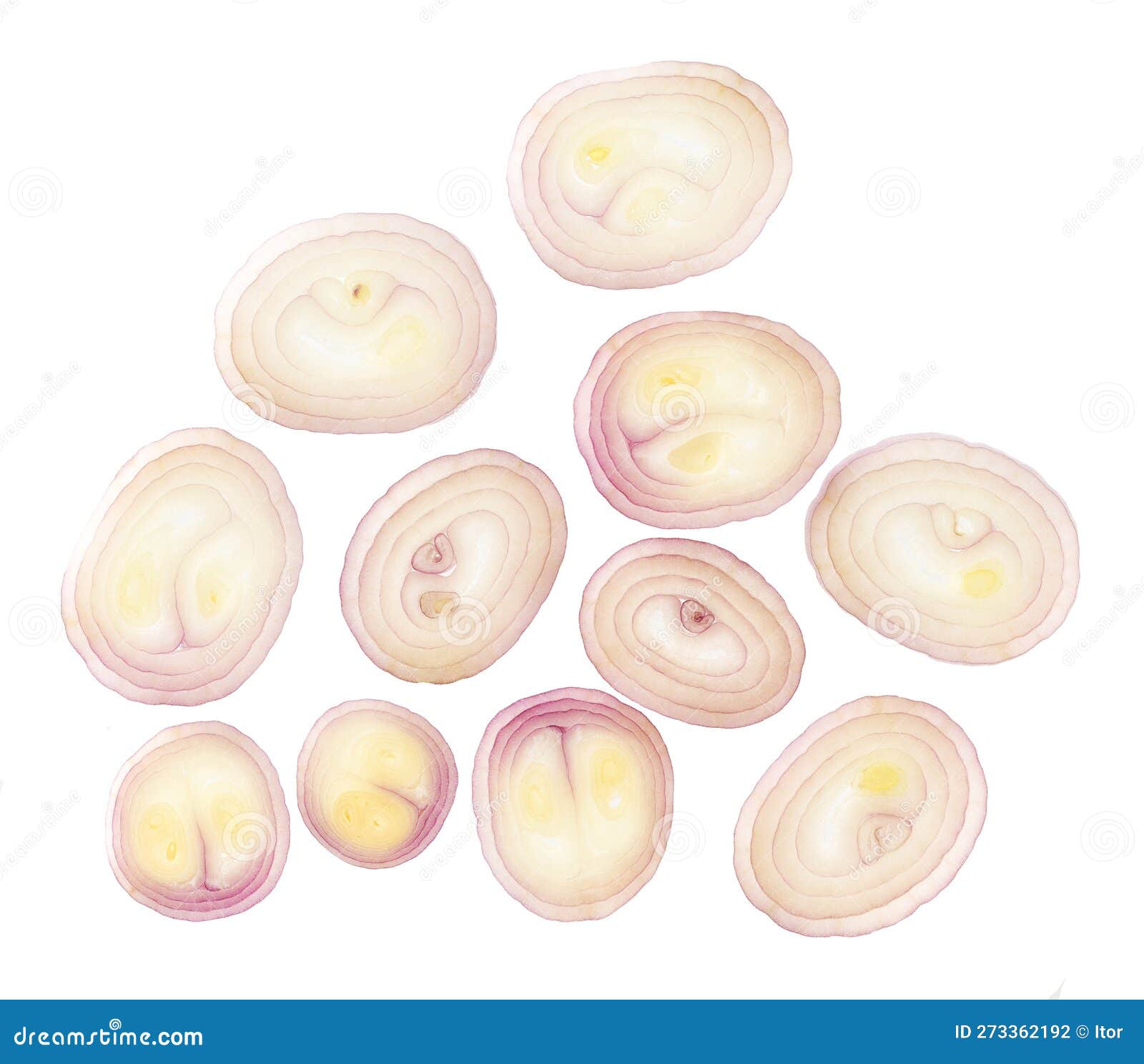 Slices Onions Shallots Isolated on White Background, Top View Stock ...