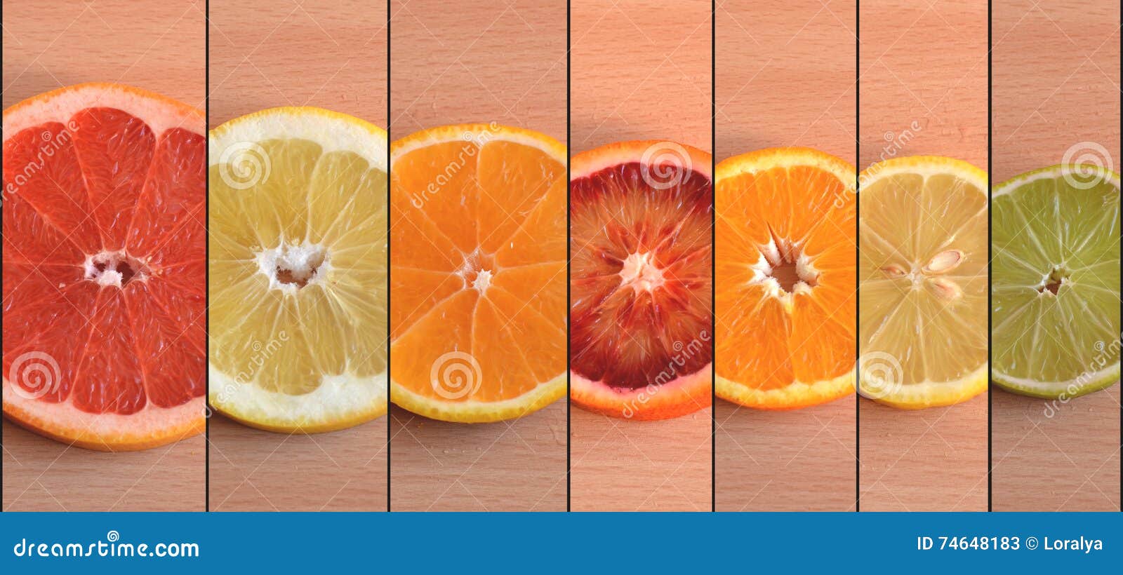 Slices of Seven Different Citrus Varieties Arranged by Size Stock Image ...