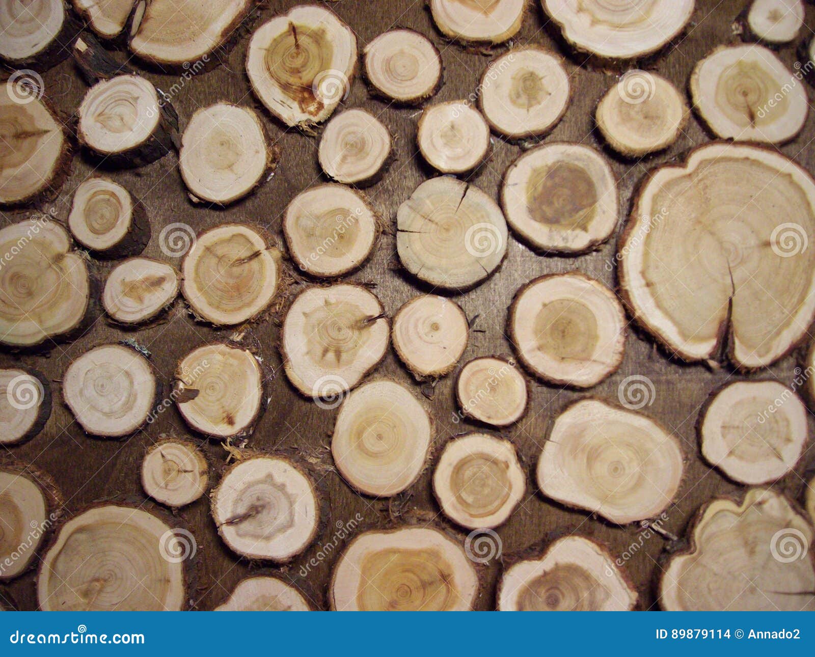Slices of trees stock photo. Image of texture, lumber - 89879114