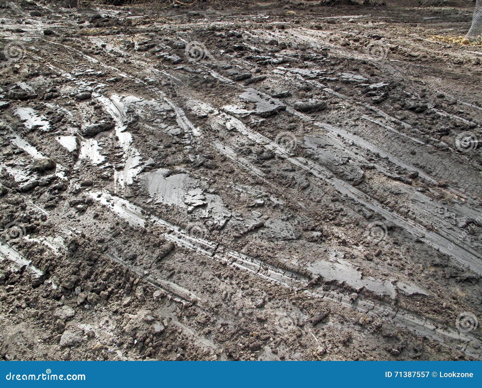 Slick Muddy Tracks stock image. Image of lines, development - 71387557