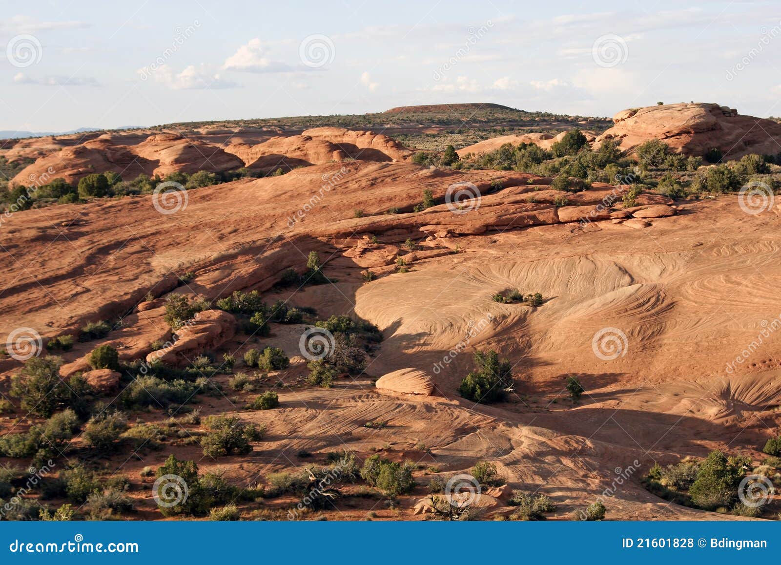 Slick Rock stock photo. Image of bdingman, sand, erosion - 21601828