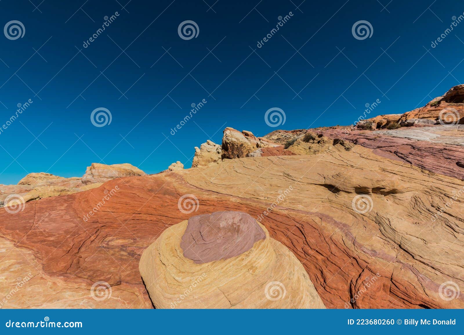 Slick Rock, Valley of Fire State Park Stock Photo - Image of landscape ...
