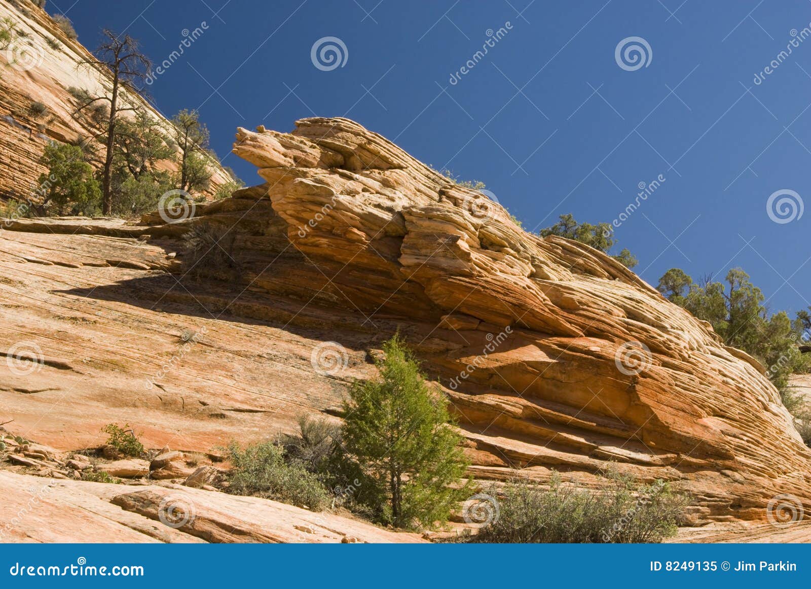 Slickrock landscape stock image. Image of zion, walls - 8249135