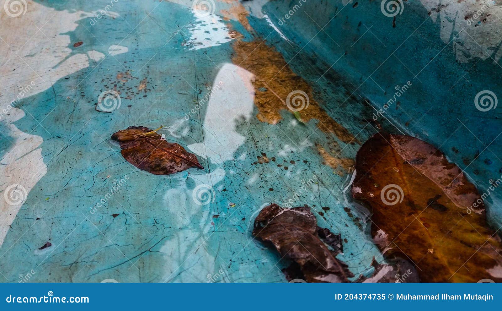A Slide Inundated by Water As Well As Fallen Leaves Stock Image - Image ...