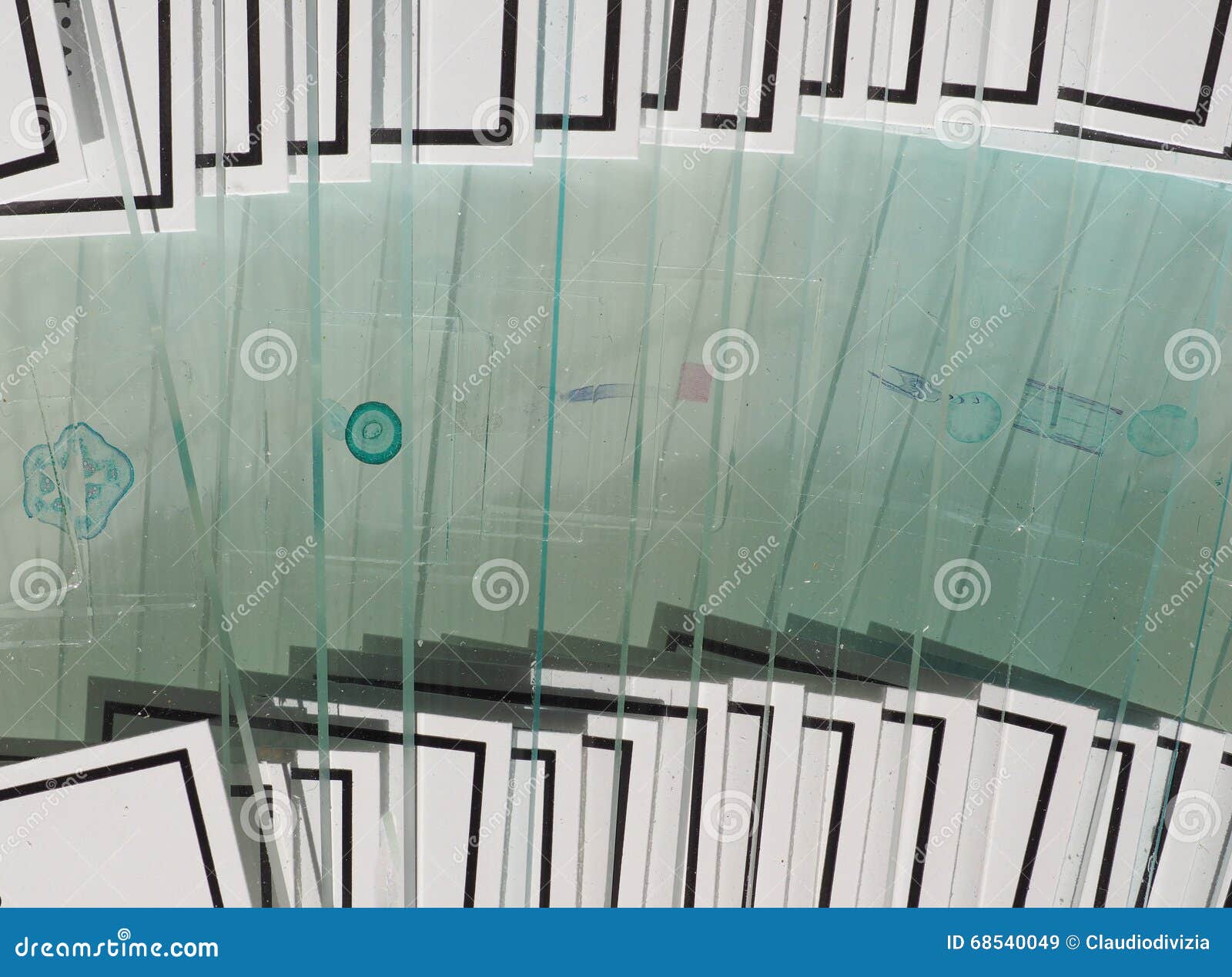 Slide for Optical Microscope Stock Image - Image of macro, specimen ...