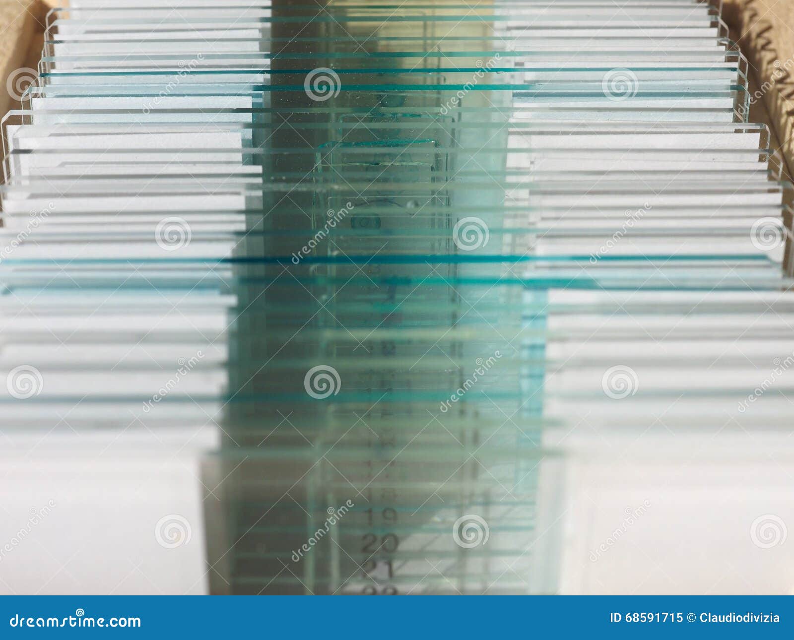 Slide for Optical Microscope Stock Image - Image of specimen, detail ...