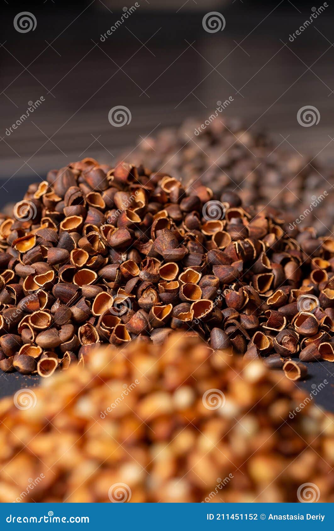 A Slide of Peeled Pine Nut Shells. Stock Photo - Image of evergreen ...