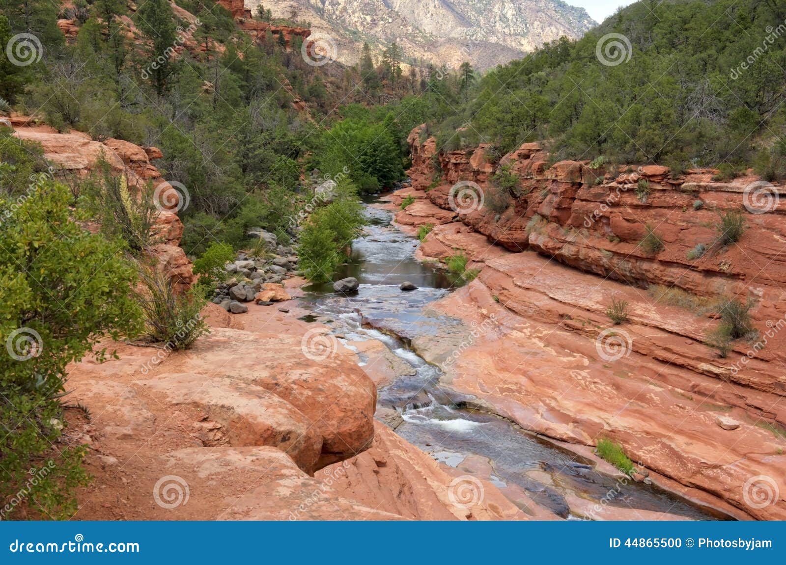 Slide Rock State Park, Arizona Stock Photo - Image of vacation, tourism ...