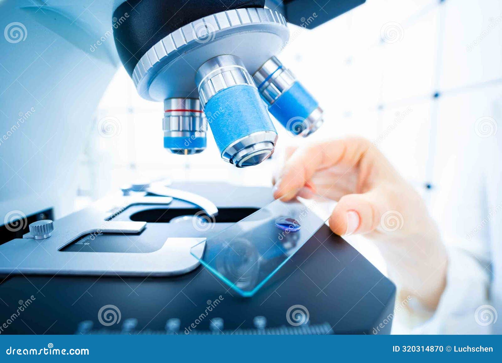 Slide Under Microscope Lenses in Laboratory Stock Photo - Image of ...