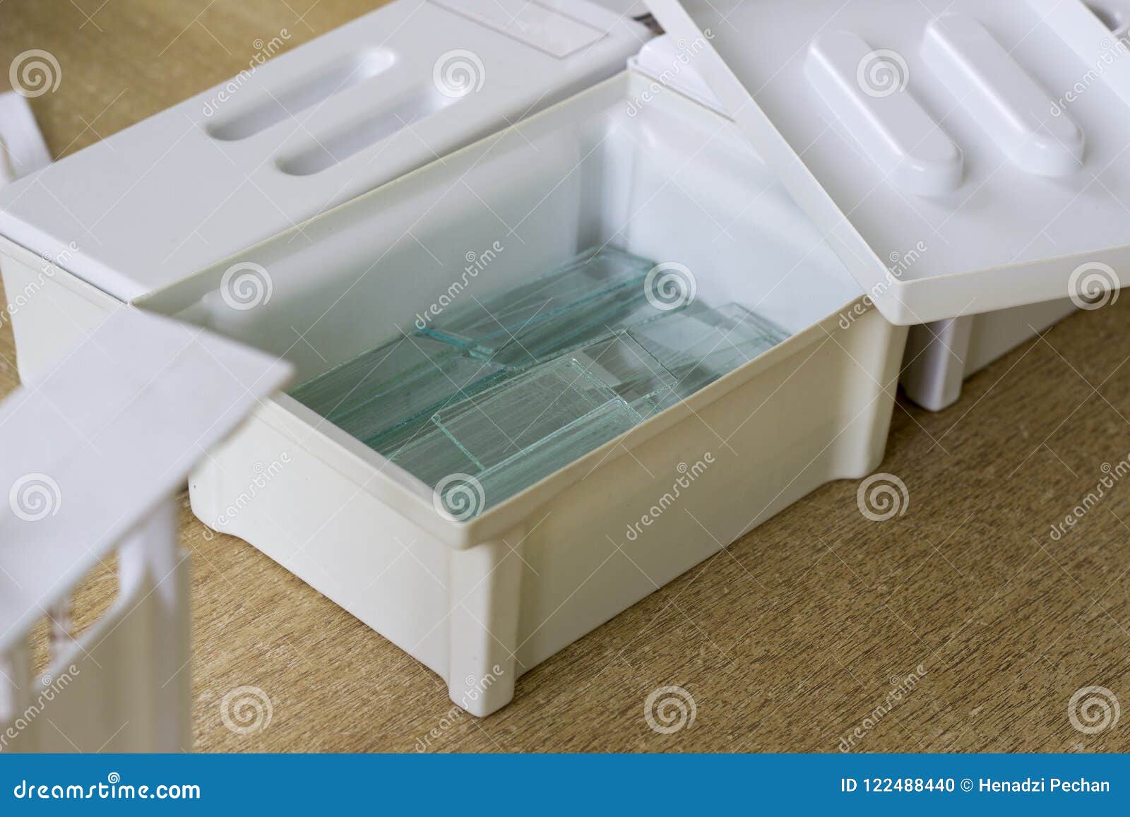 Slides for Blood Testing Scientific Stock Photo - Image of blood ...