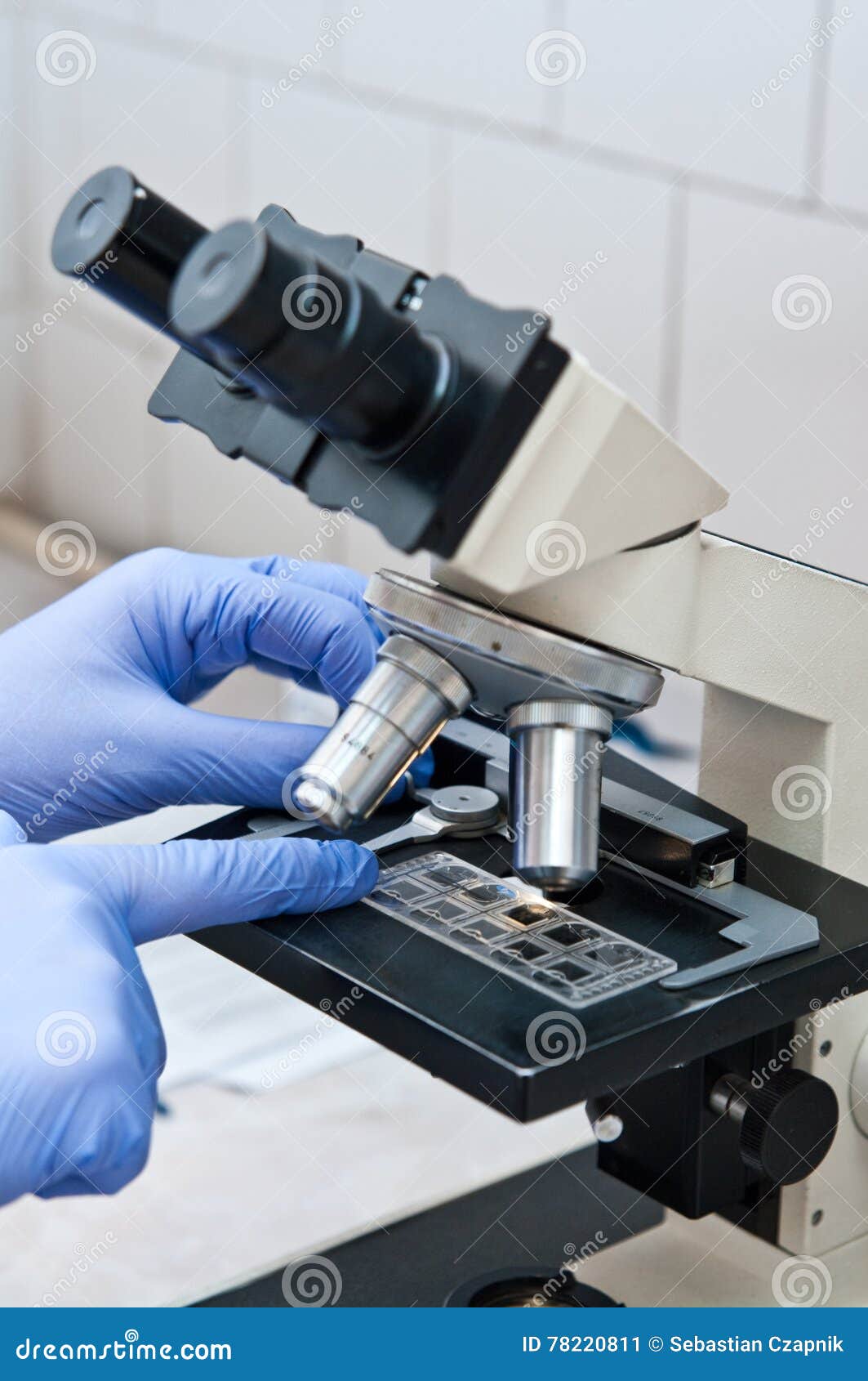 Slides on microscope stock image. Image of laboratory - 78220811