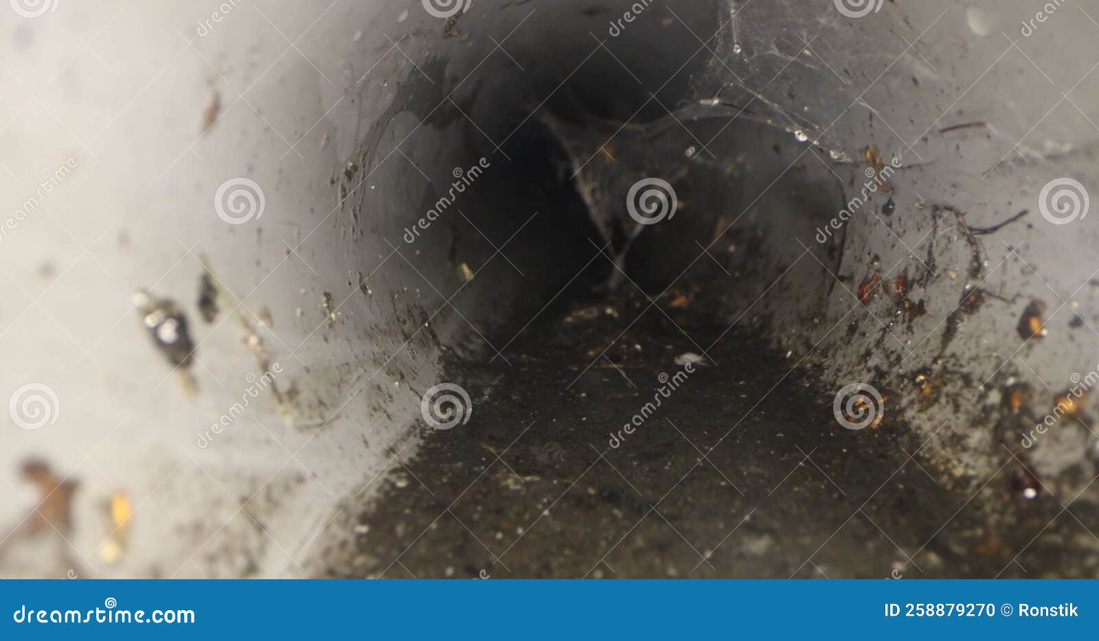 Sliding Inside Dirty Plastic Pvc Rainwater Drain Pipe Stock Footage ...