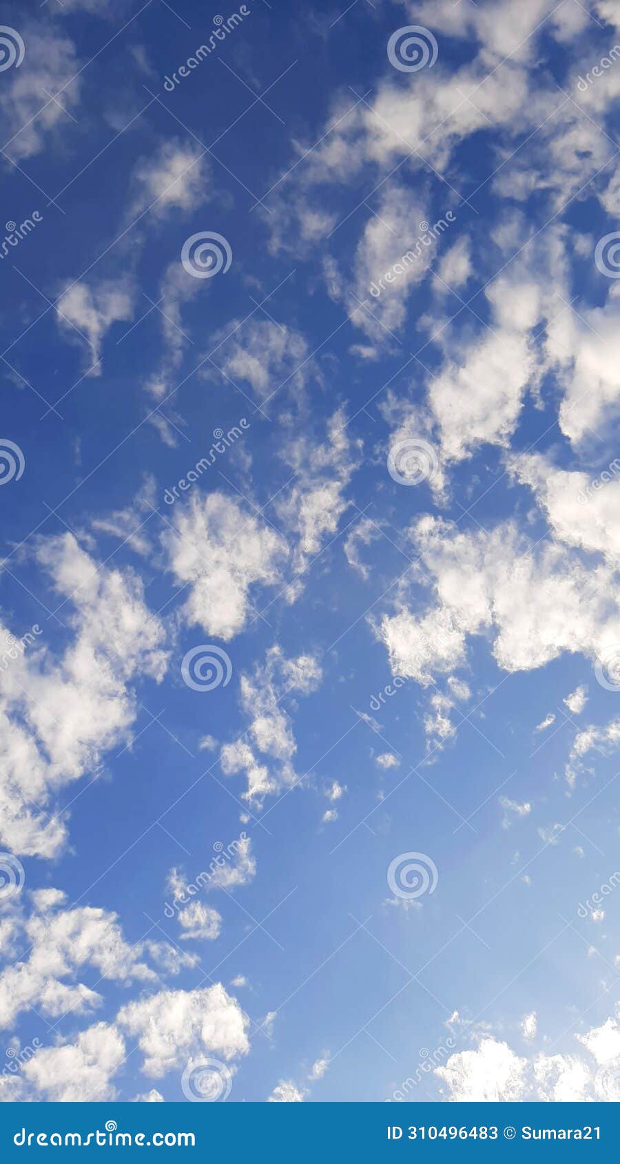 Slightly Cloudy Blue Sky, Photographed from a Lower Angle Looking ...
