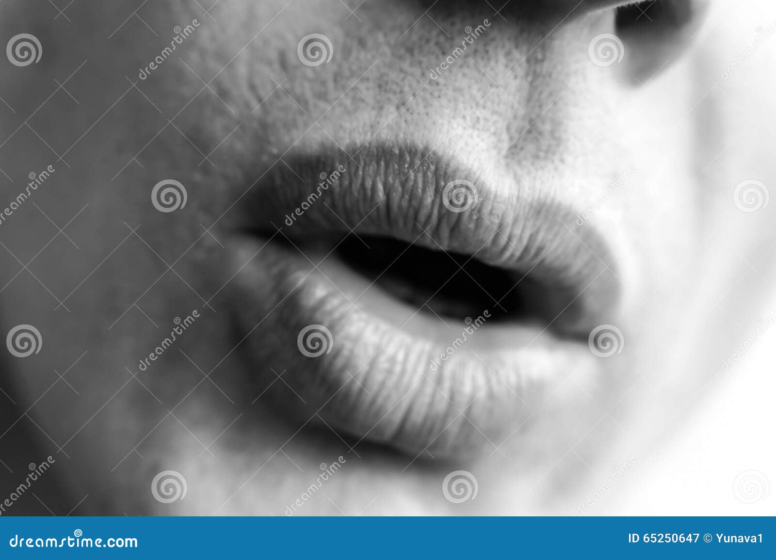 Slightly lips closeup. stock image. Image of adults, facial - 65250647