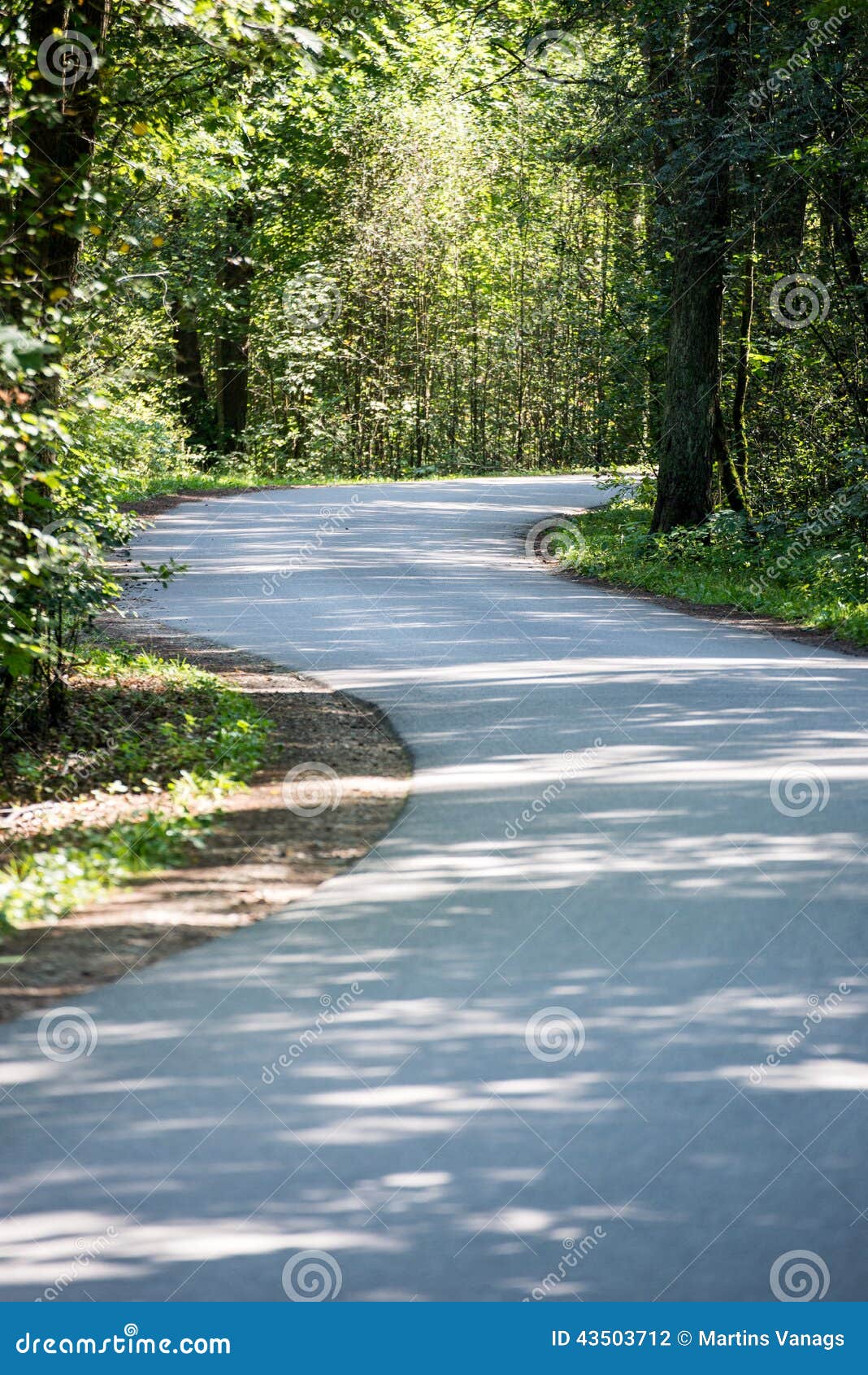Slightly Lit Road in the Forest Stock Photo - Image of outdoors, empty ...