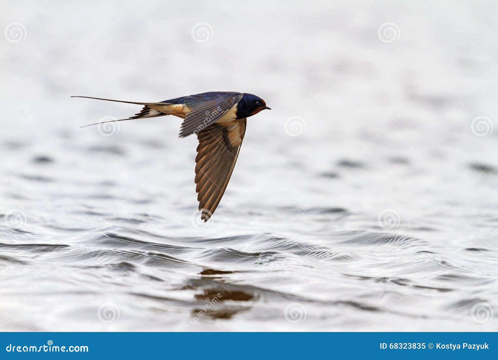 Slik Over Water Met Bezinning Stock Afbeelding - Image of plotseling ...