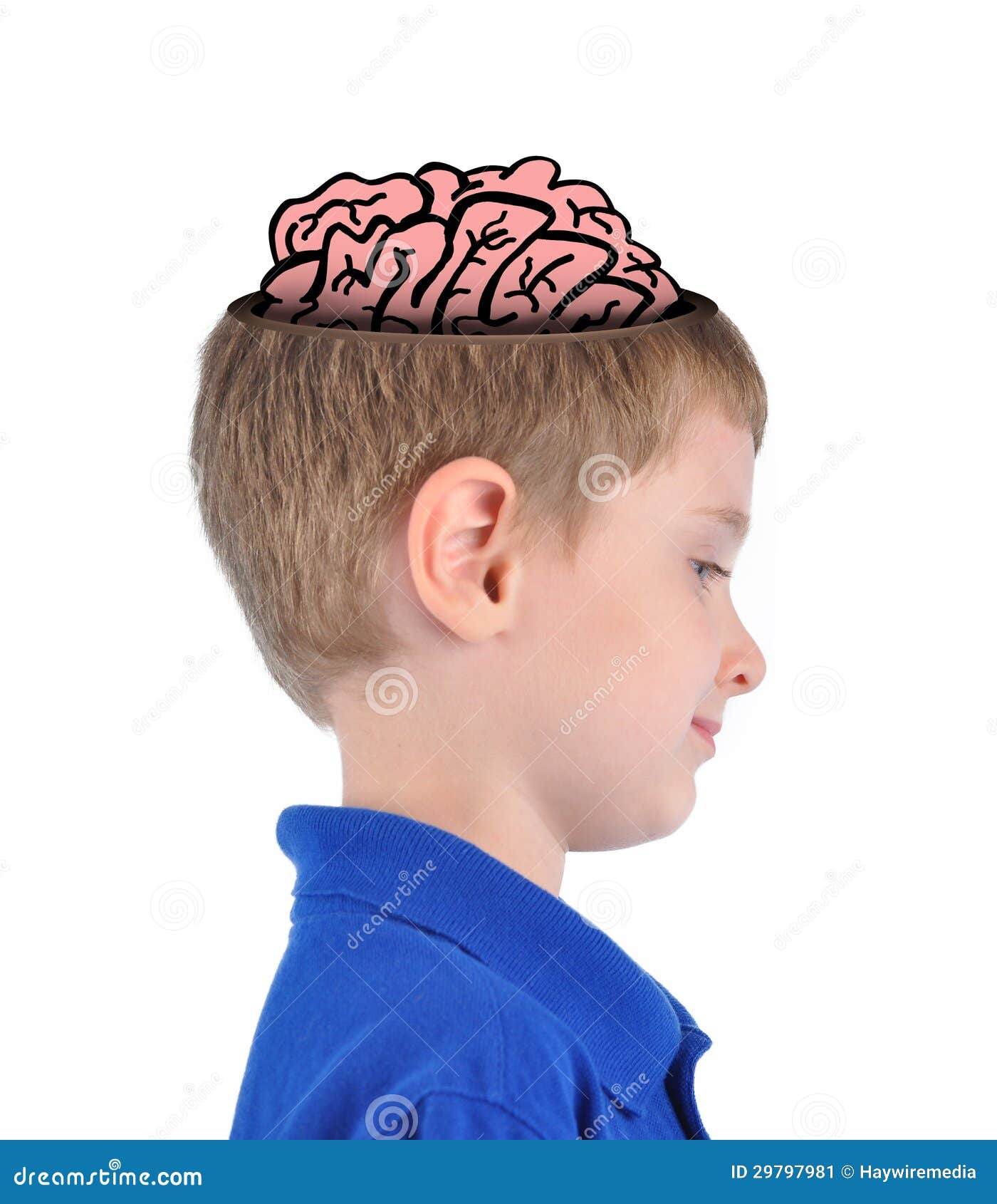 Slim Onderwijs Brain Boy stock afbeelding. Image of hersenen - 29797981