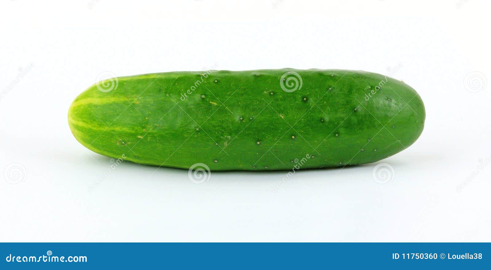 Slim single cucumber stock photo. Image of salads, cylindrical - 11750360