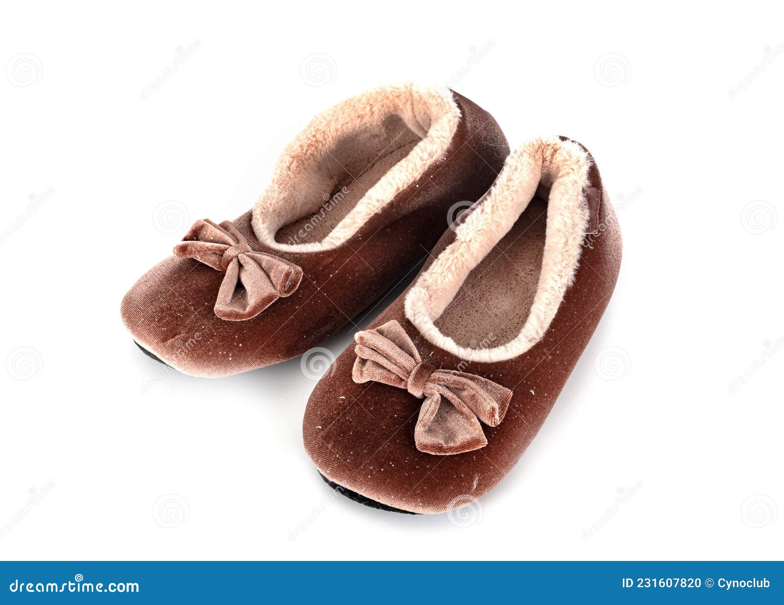 Slippers in studio stock photo. Image of comfortable - 231607820