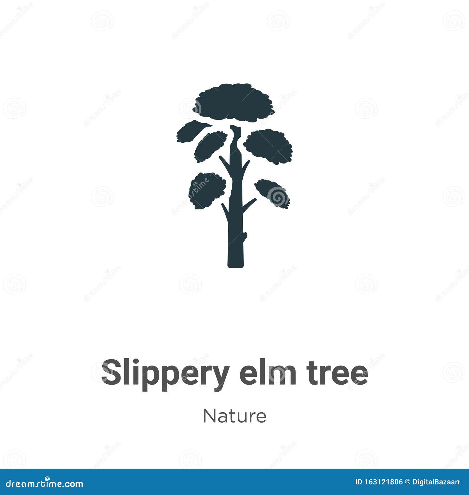 Slippery Elm Tree Vector Icon On White Background. Flat Vector Slippery ...
