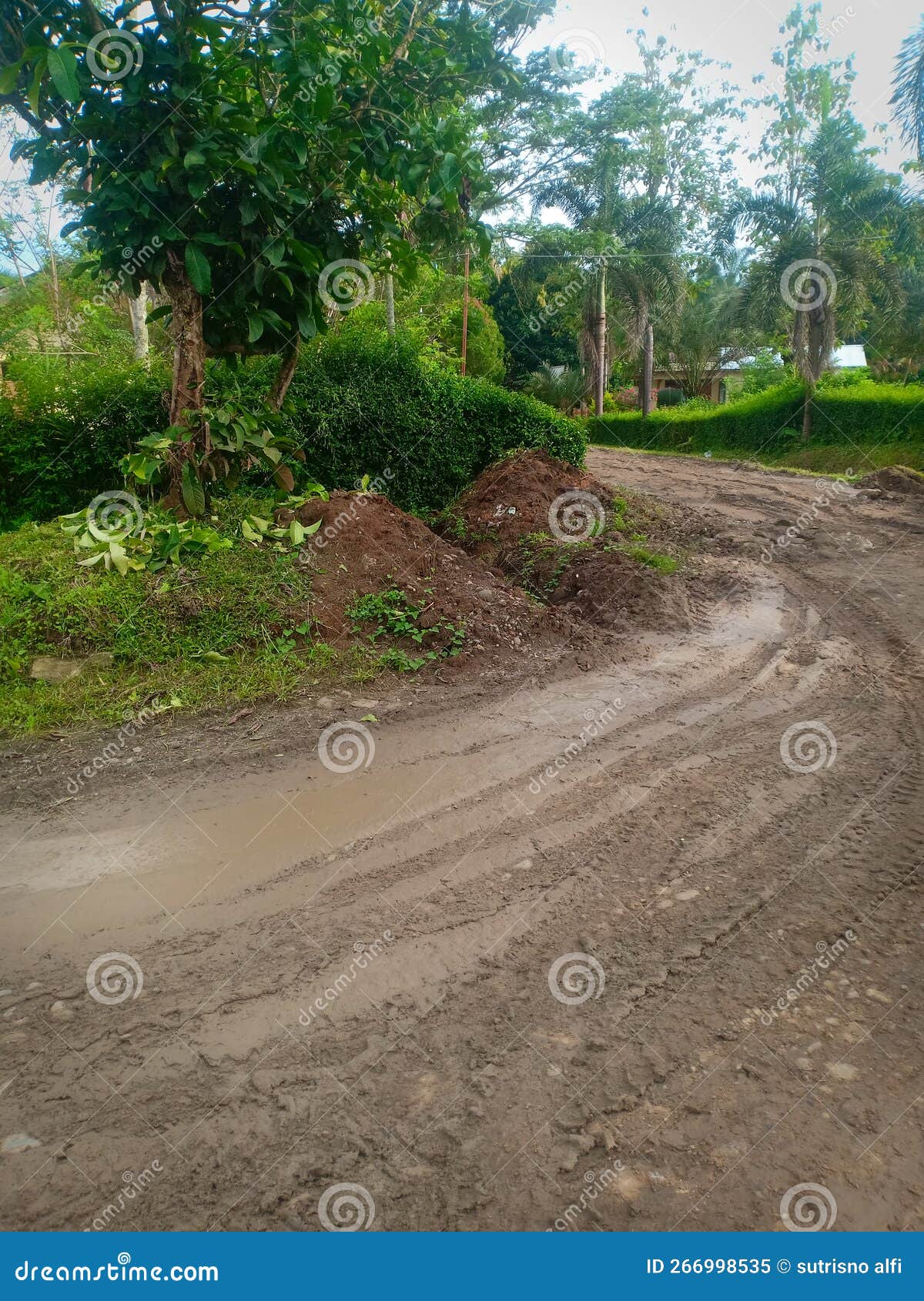 Slippery stock image. Image of slippery, lots, water - 266998535