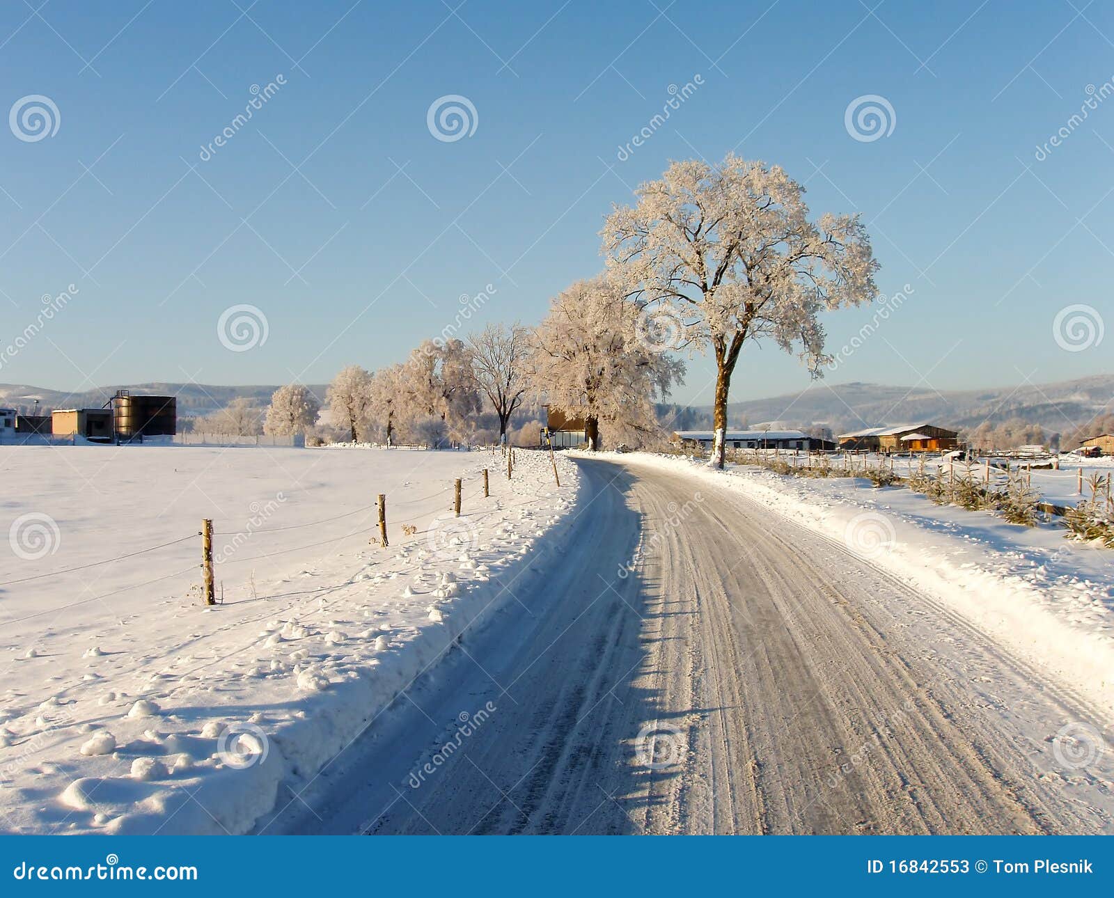 Slippery road stock image. Image of tree, travel, green - 16842553