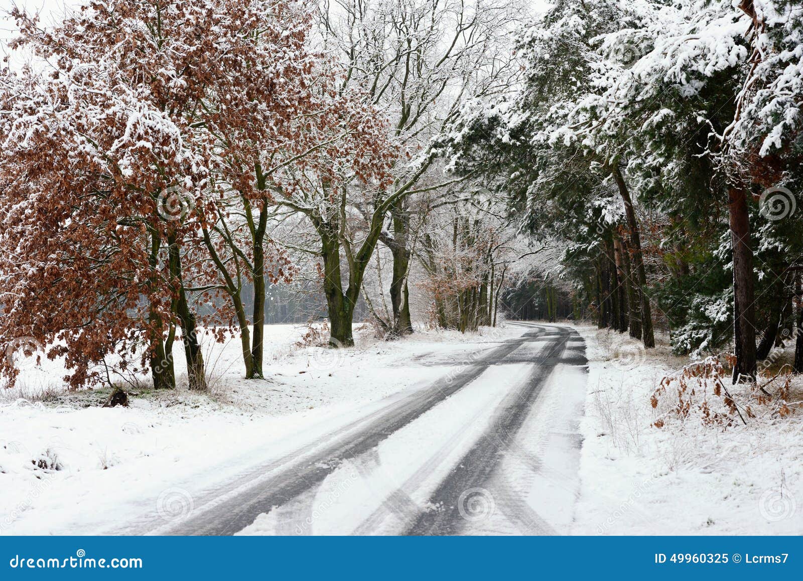 Slippy Frozen Road on Winter Time Stock Image - Image of nature ...