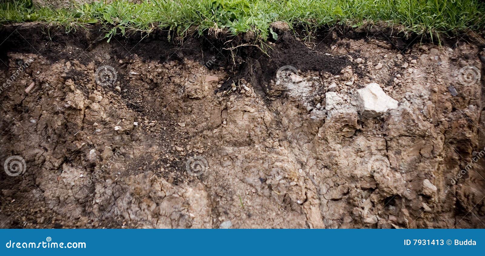 Slit of ground stock image. Image of earth, grey, open - 7931413