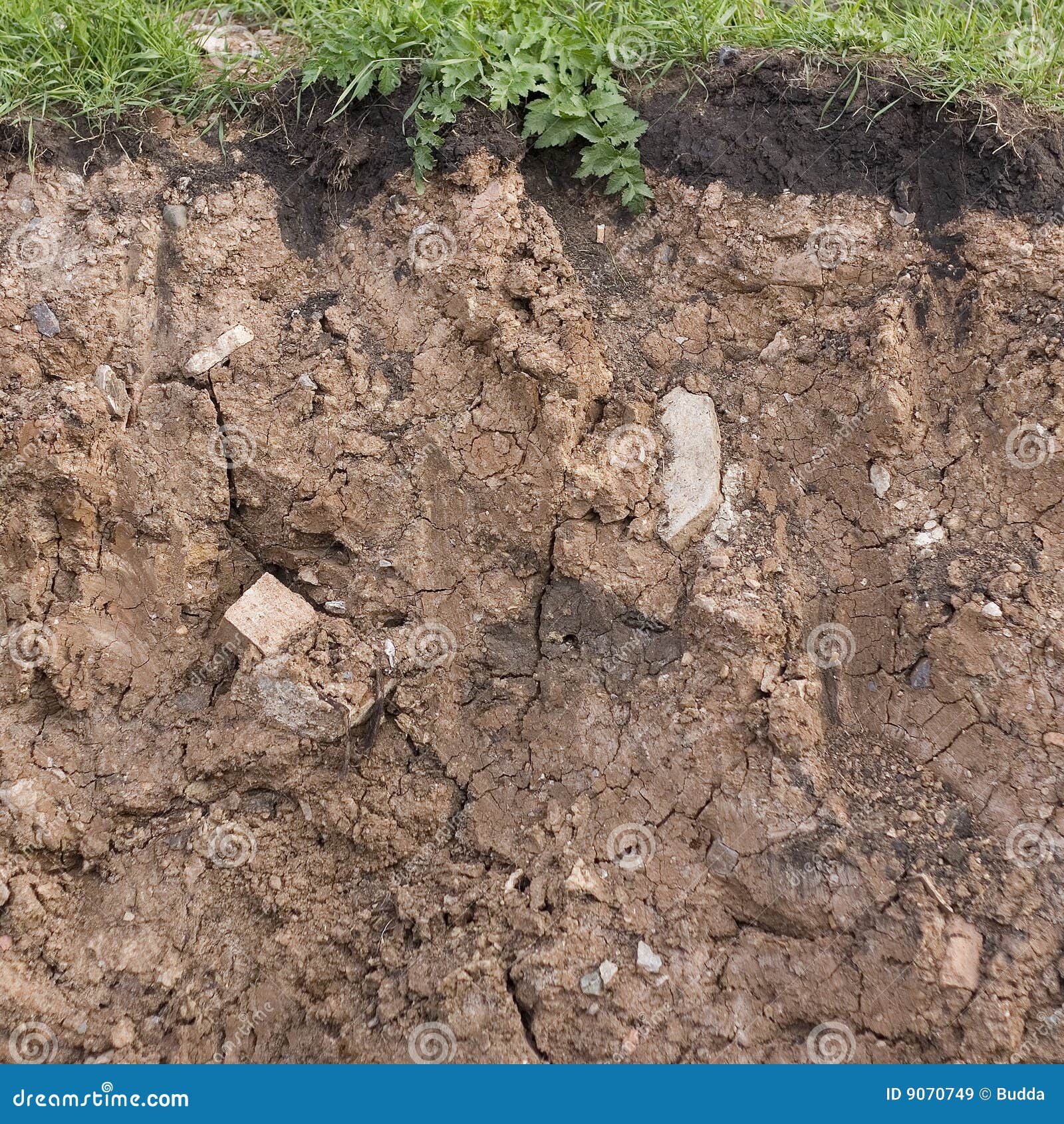 Slit of ground stock image. Image of slit, land, angle - 9070749