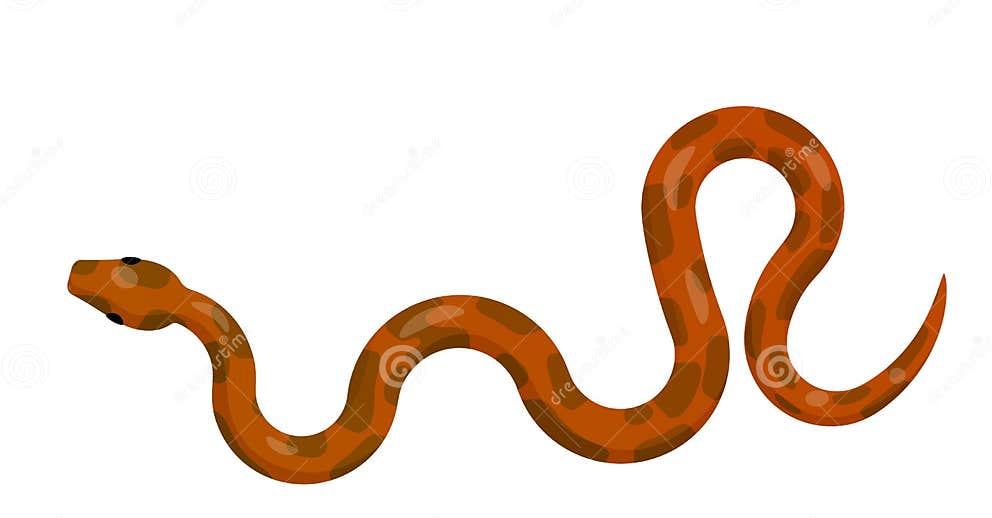 Slither Red Python Snake Top View Vector Icon Stock Vector ...