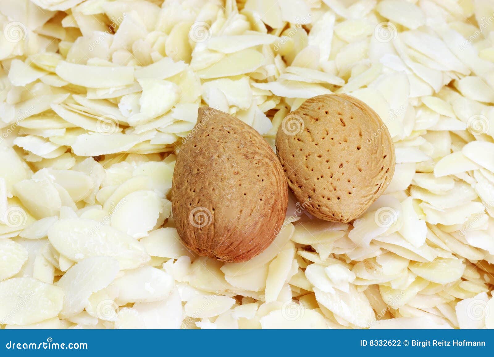 Slivered almonds stock photo. Image of salted, organic - 8332622