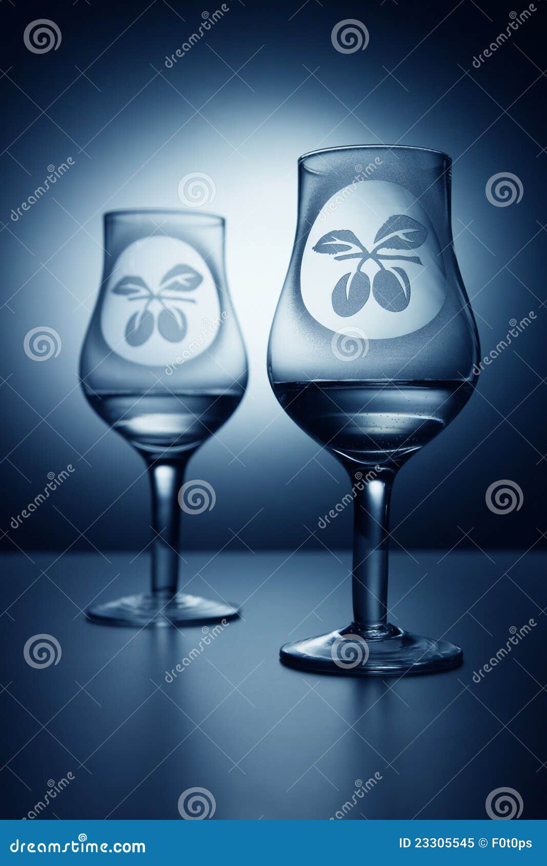 Slivovitz stock image. Image of design, leaves, bottle - 23305545