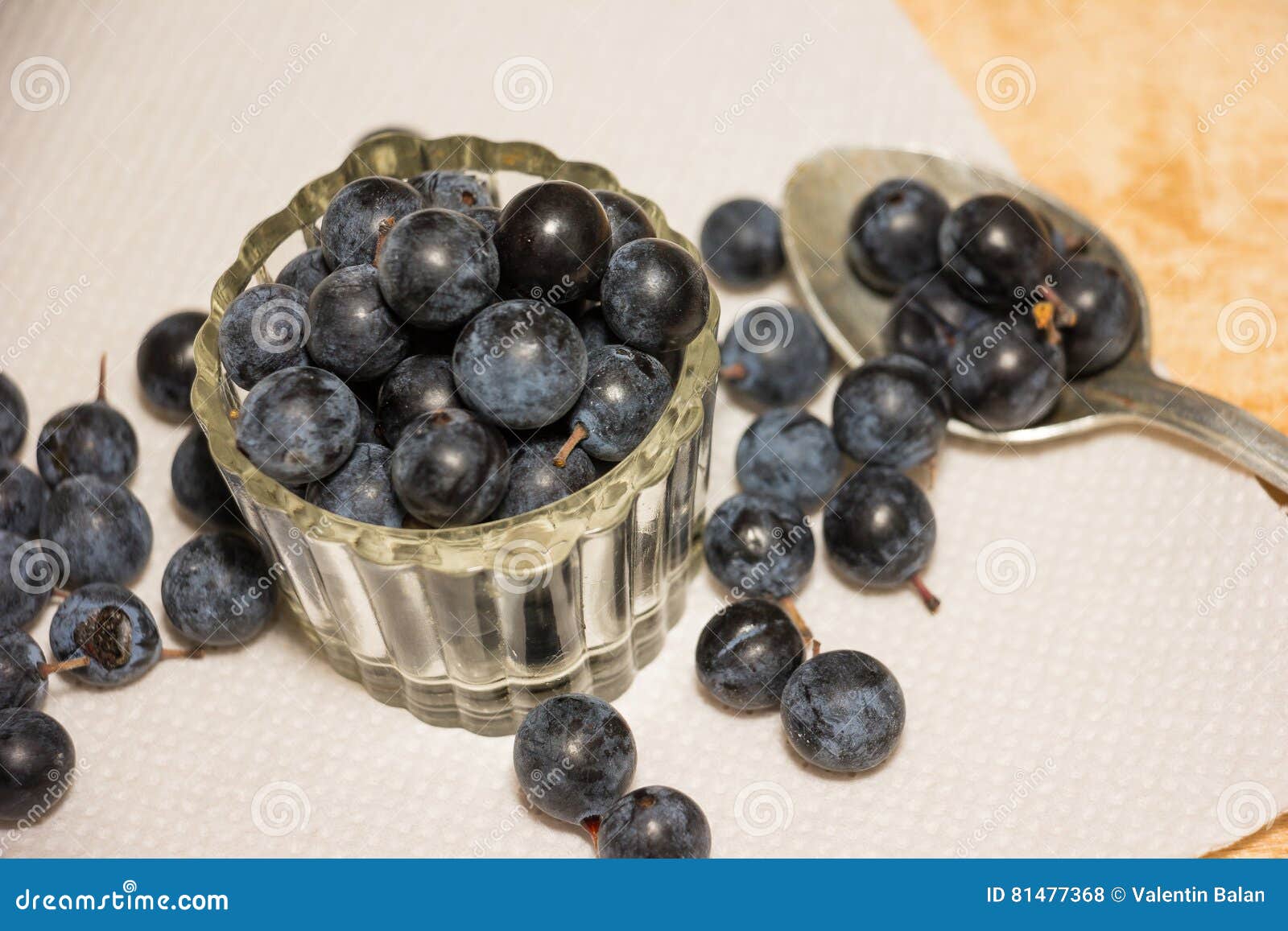 Sloe stock photo. Image of close, macro, colorful, berries - 81477368