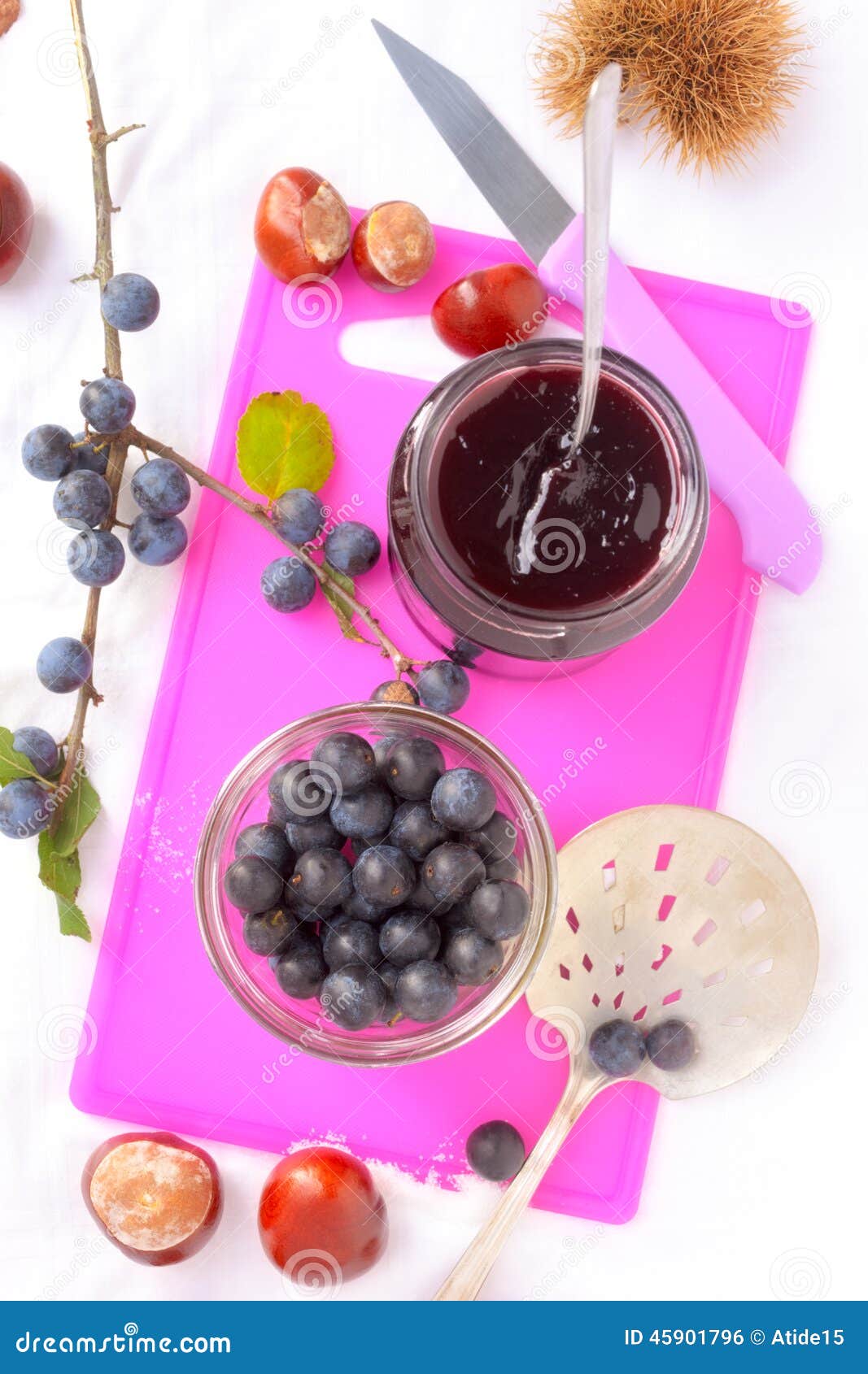 Sloe stock photo. Image of nature, blackthorn, leaf, black - 45901796