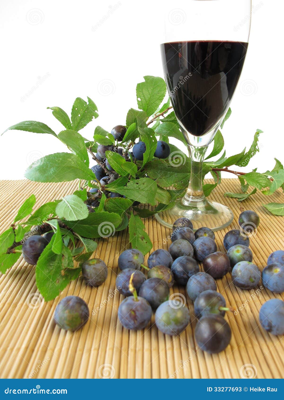 Sloe fruits wine stock image. Image of twig, wine, sloes - 33277693