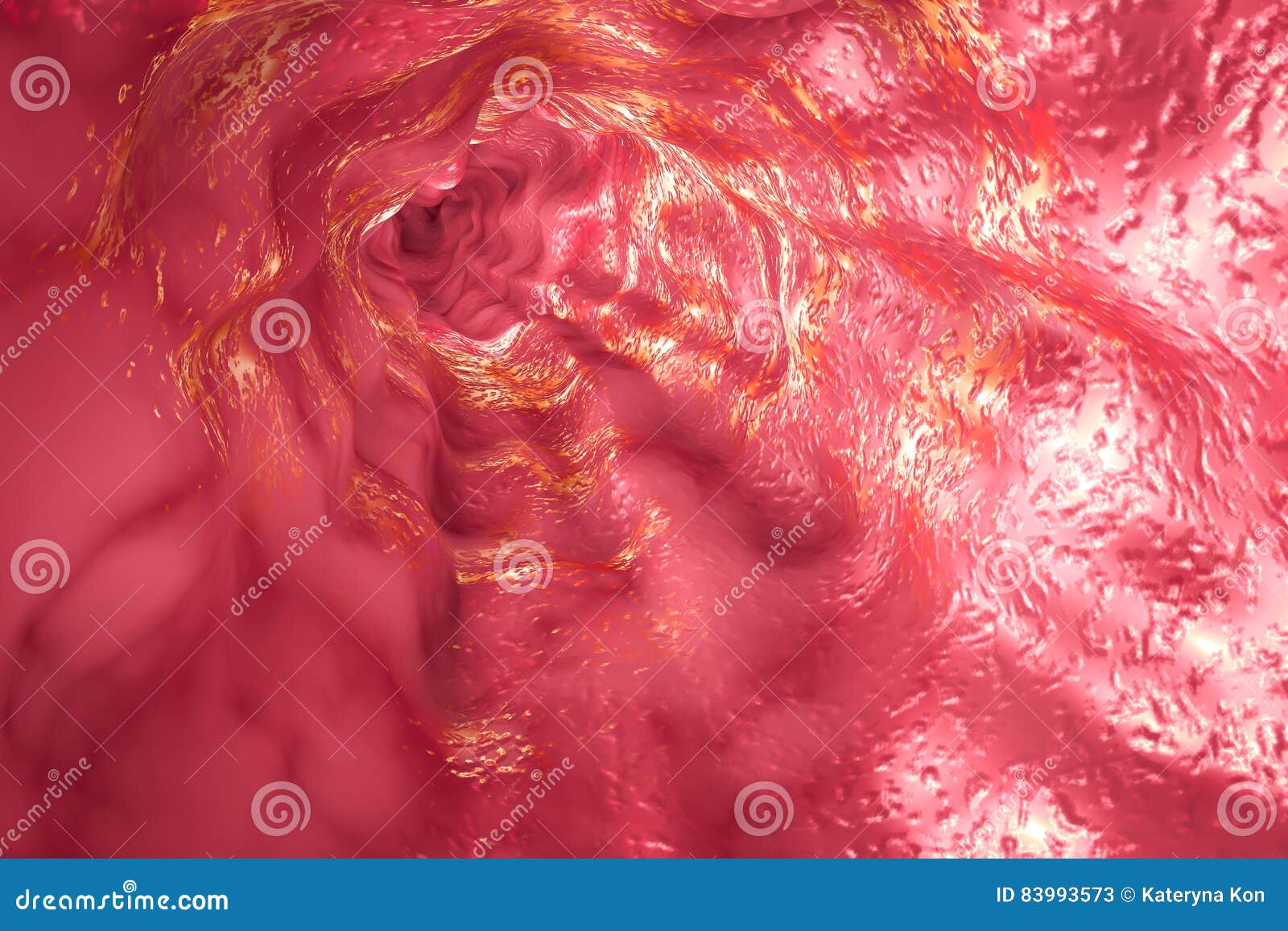 Slokdarmmucosa En Esophageal Sfincter Stock Illustratie - Illustration ...
