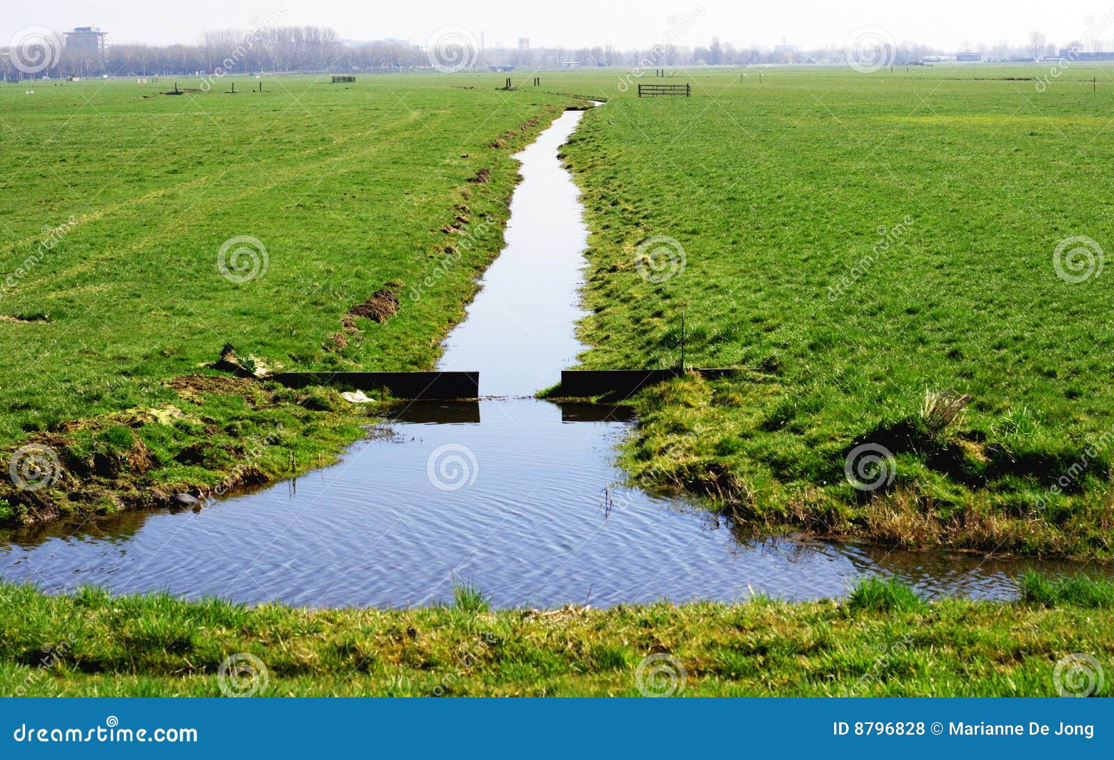 Sloot in de weide stock foto. Image of weid, weide, zonnig - 8796828