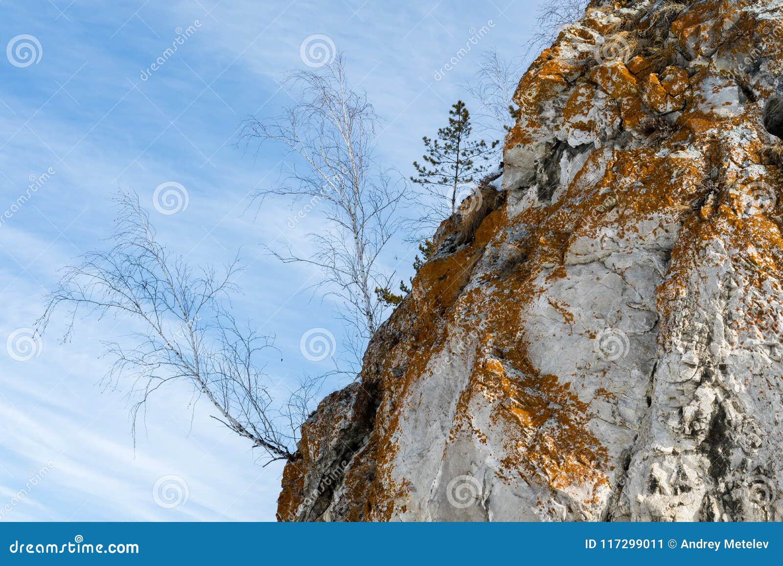On the Slope of the Cliff a Tree Grows Stock Image - Image of mountain ...