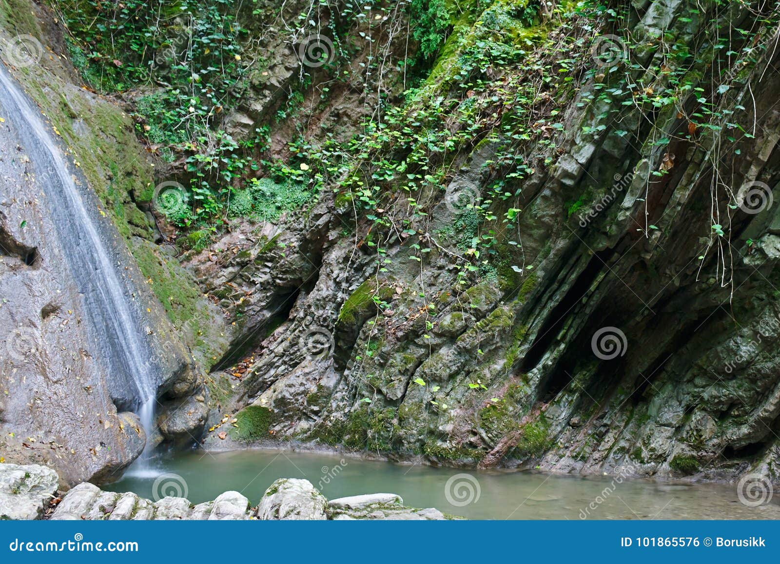 Slope Covered with Ivy and Moss with Flowing Waterfall Stock Photo ...