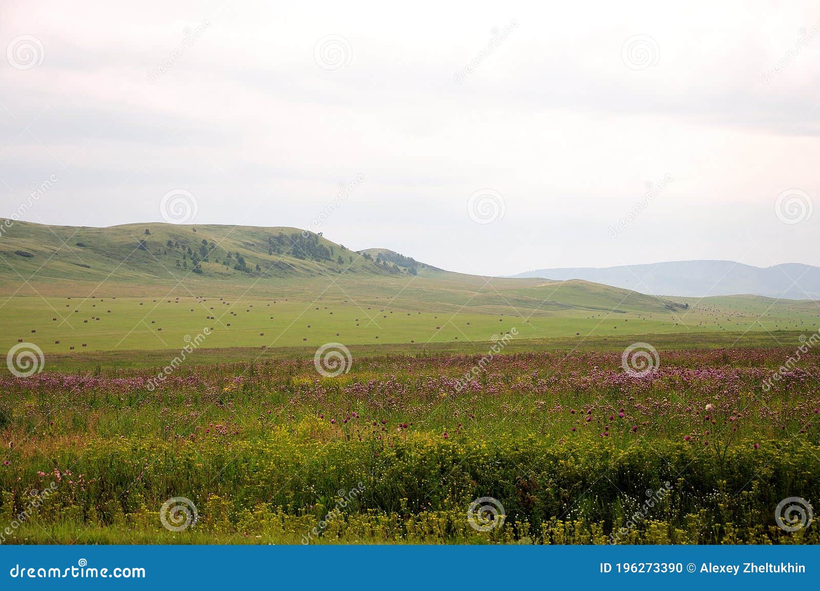 The Slope of a High Mountain at the Beginning of the Endless Steppe ...