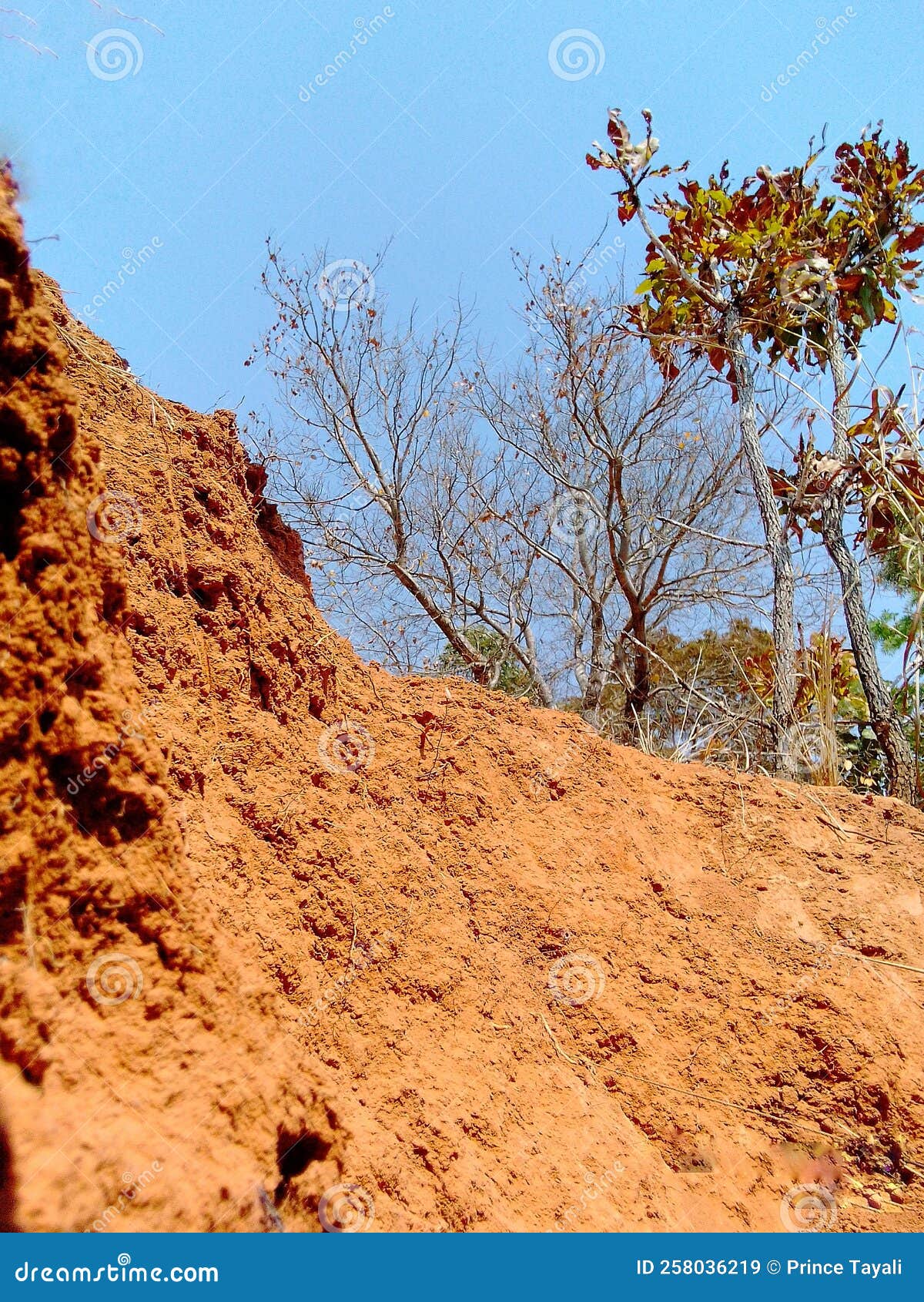 Slope hill ready to climb stock image. Image of hill - 258036219