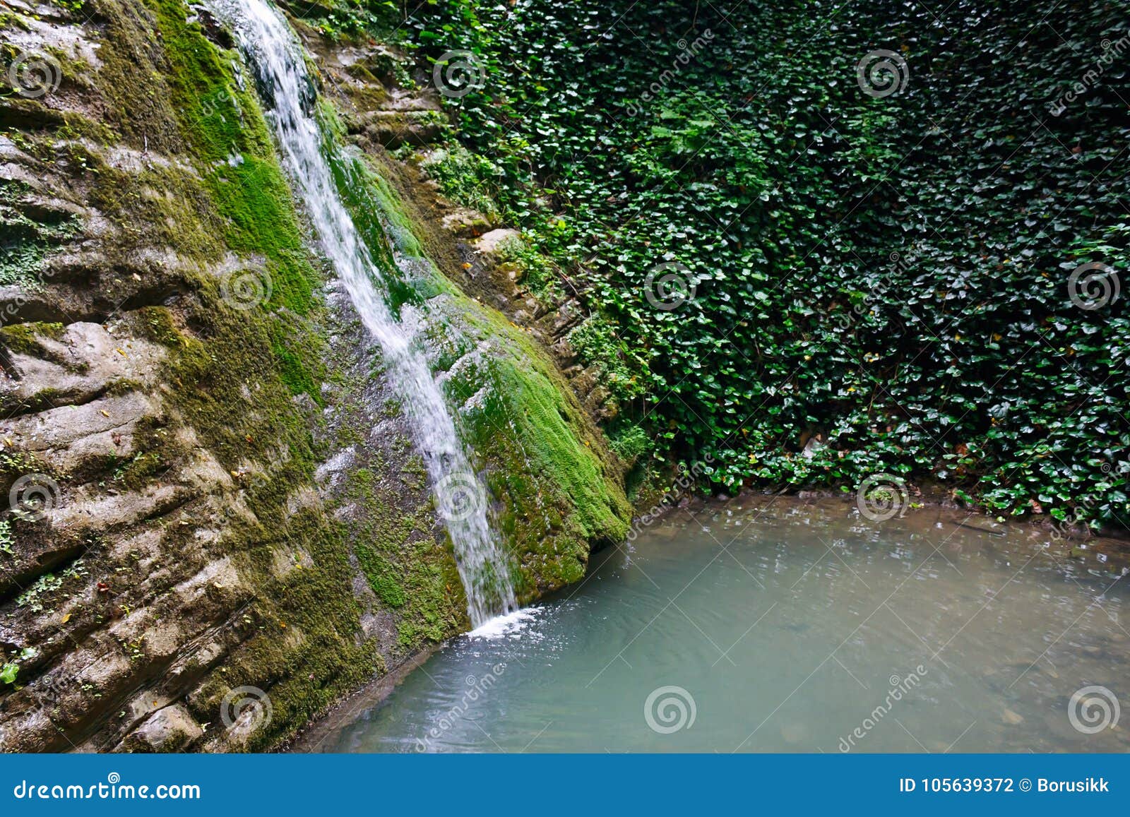Slope Overgrown with Ivy and Moss with Waterfall Flowing Down Stock ...