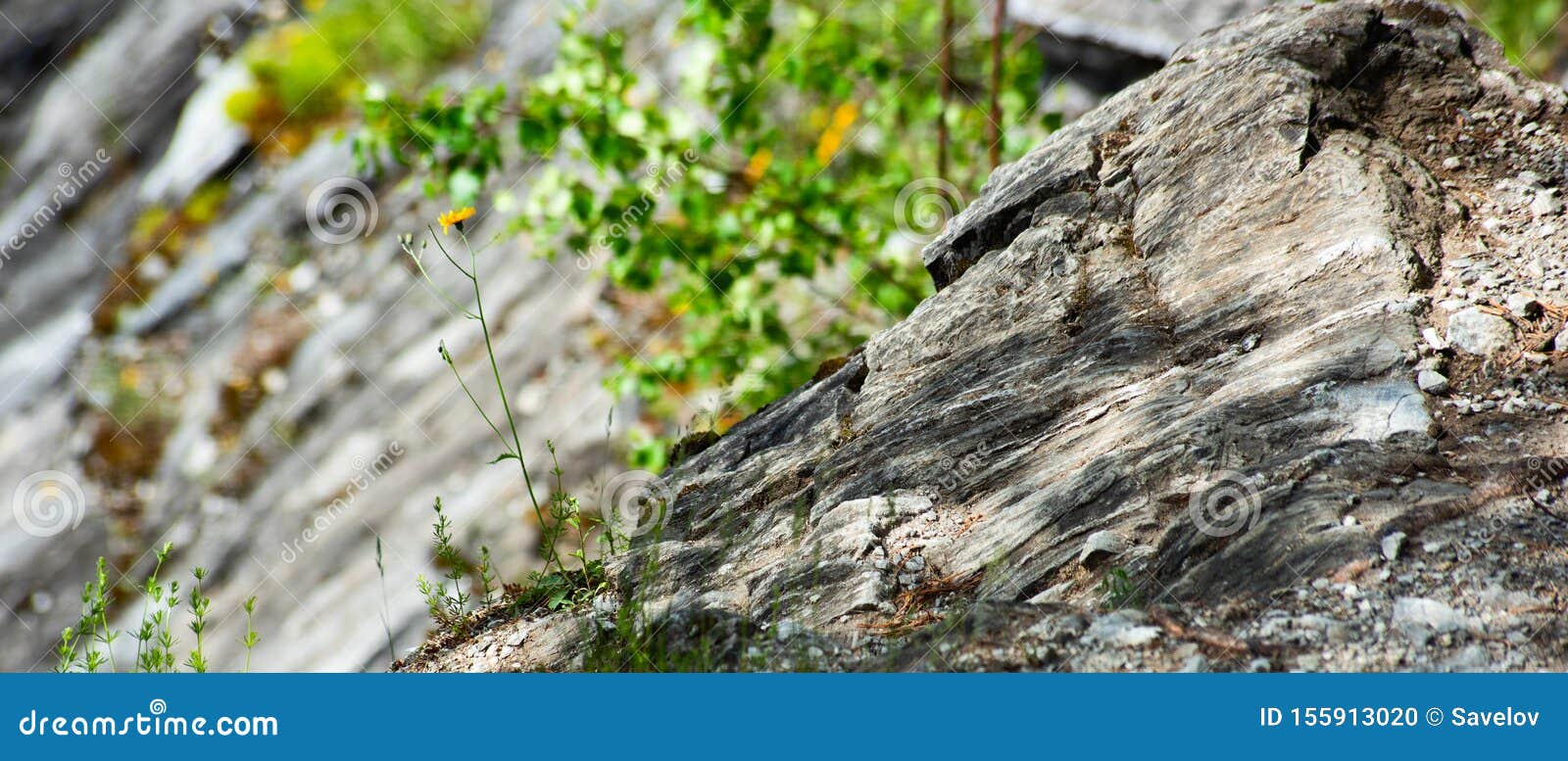 Slope of a Rock with Greenery is Close Stock Photo - Image of tourism ...