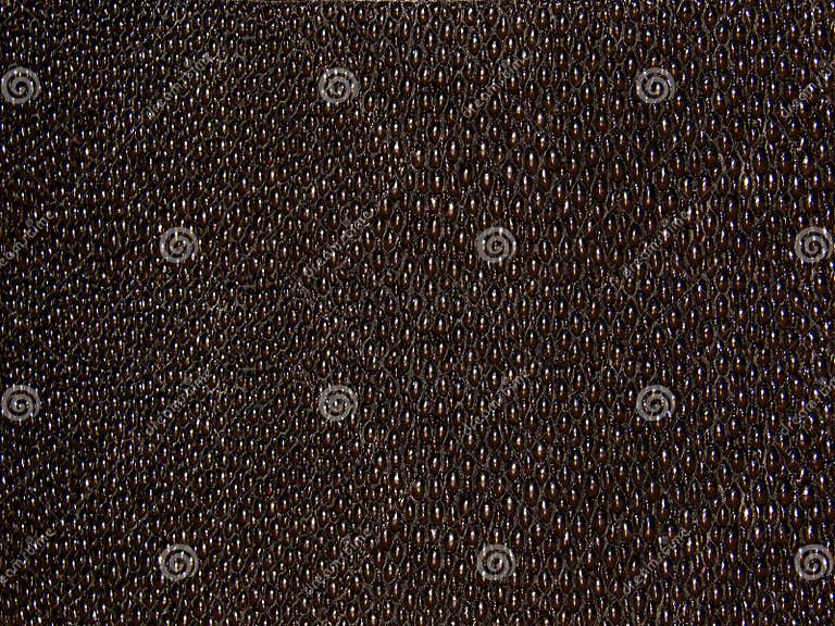 Slope skin stock image. Image of exotic, manufacture, tropical - 8007407