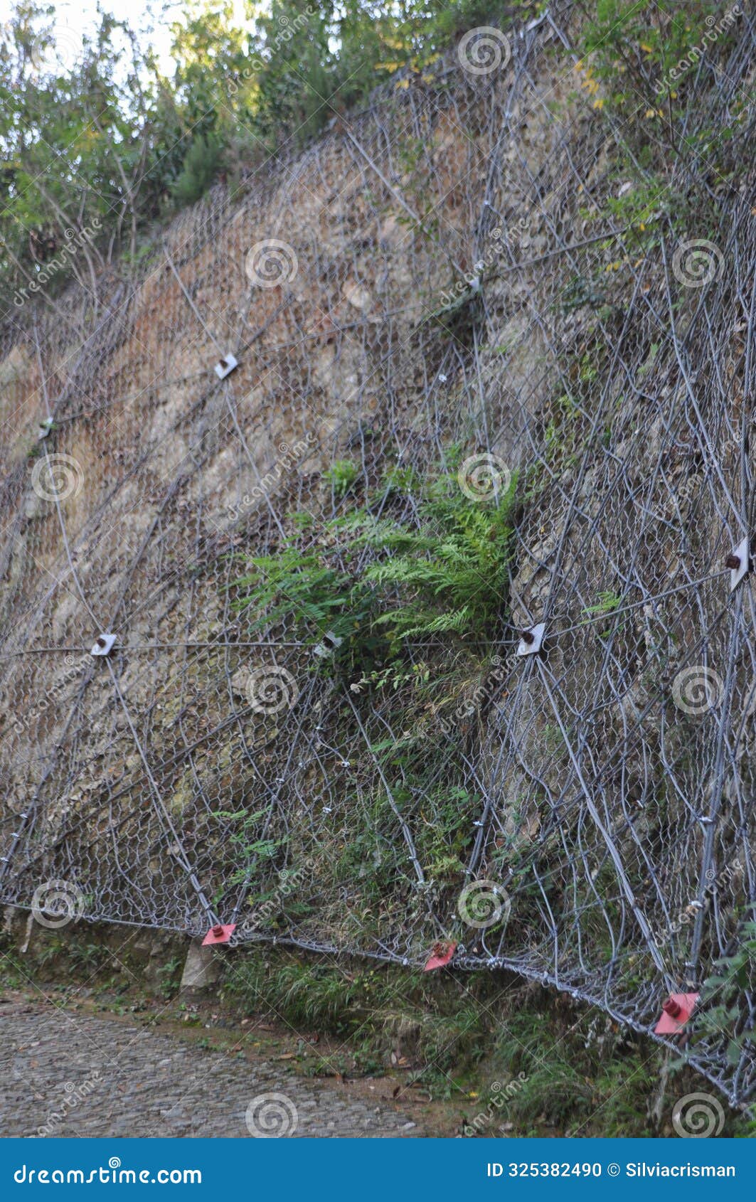 Slope stabilisation net stock photo. Image of slope - 325382490