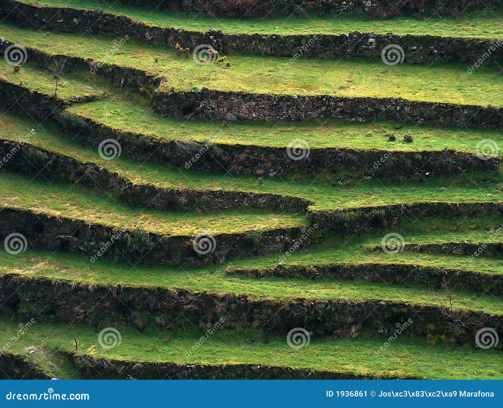 2,872 Terrace Slopes Stock Photos - Free & Royalty-Free Stock Photos ...