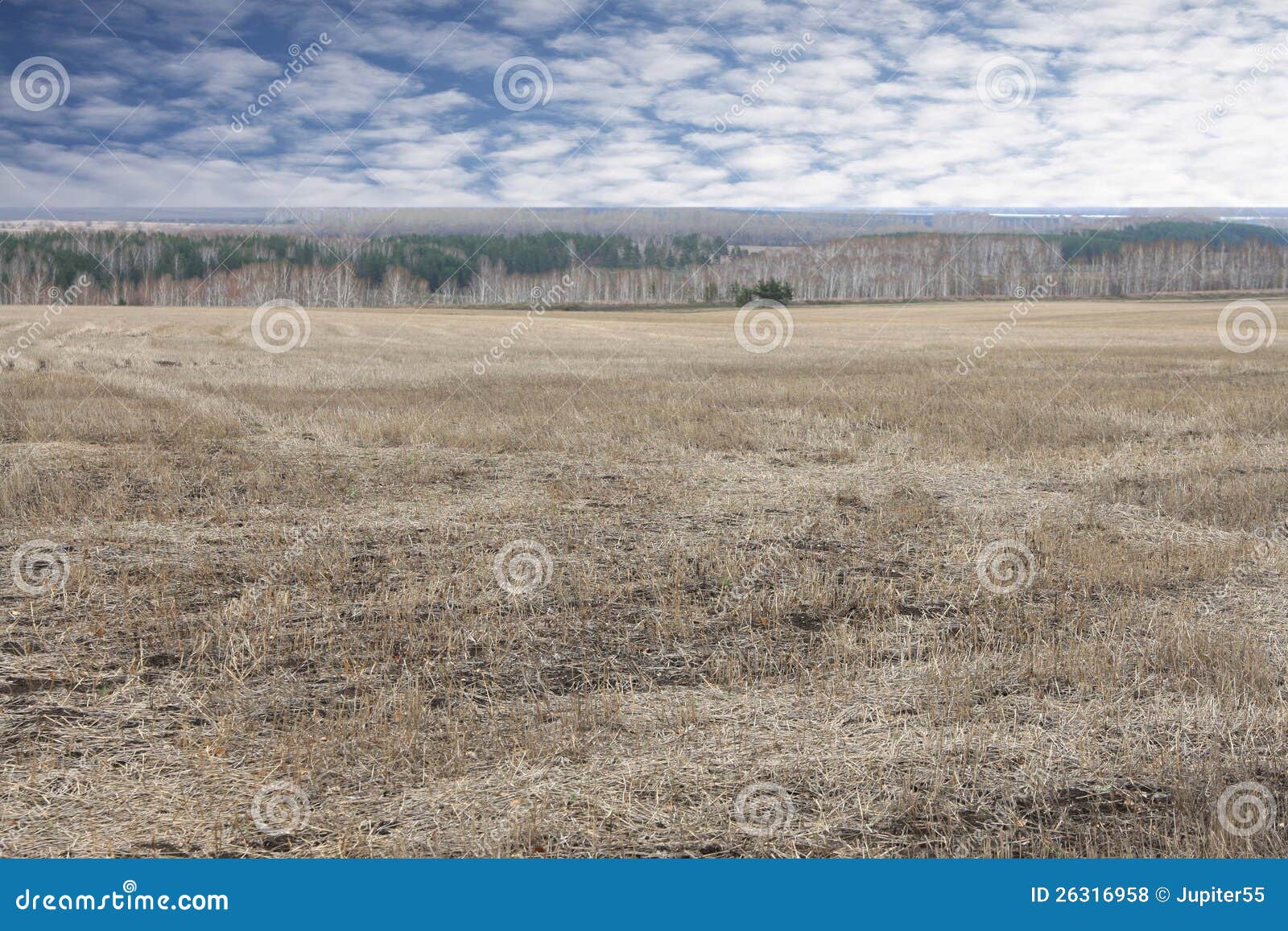Sloping agricultural field stock photo. Image of land - 26316958